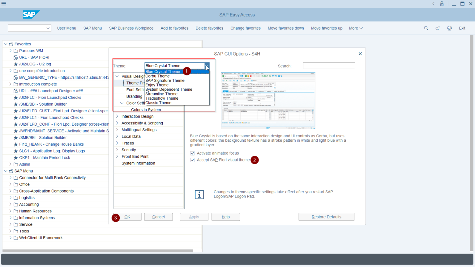 SAP Logon Pad ECC 6 - S4/HANA - SAP training and coaching