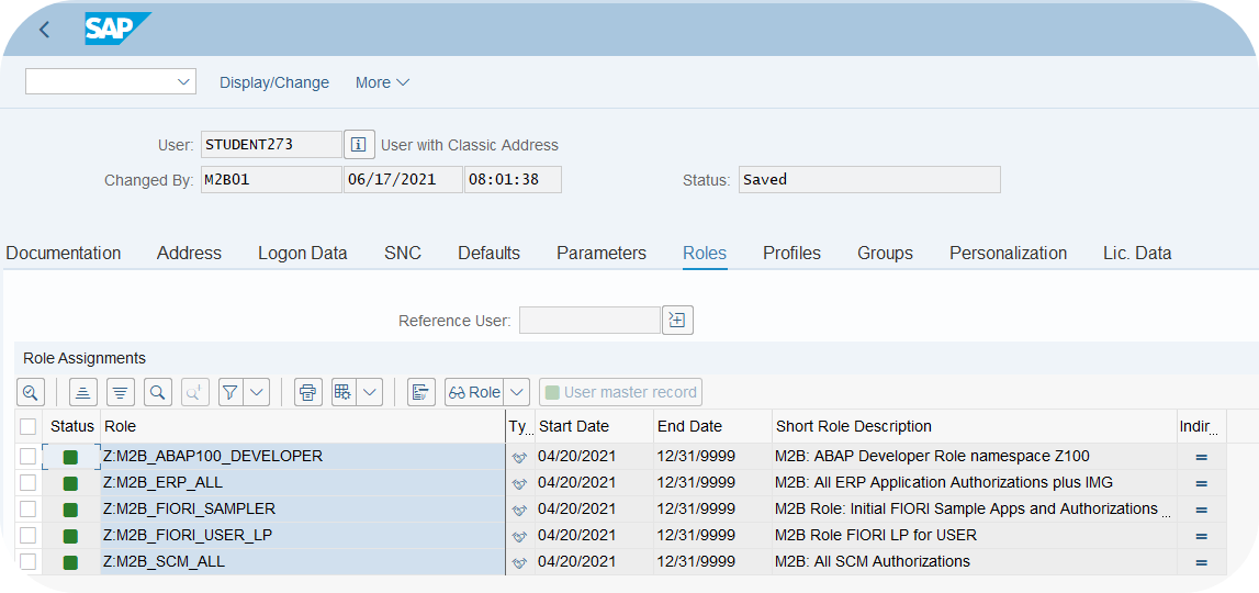 SAP Roles and Permissions - SAP Training and Coaching