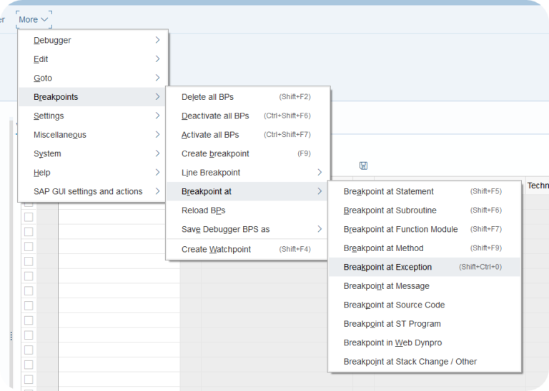 SAP : ABAP debugger guide - SAP Training and Coaching