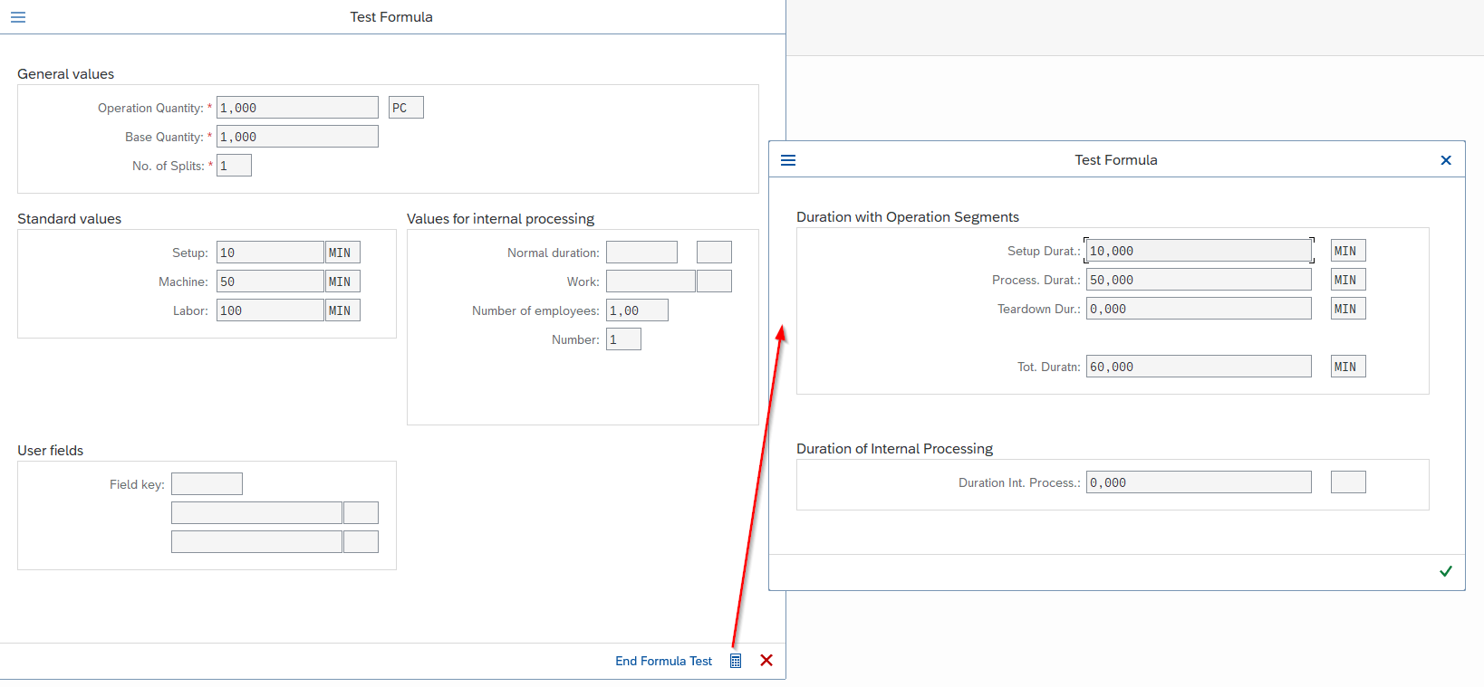 Formulas in SAP: tips for a successful configuration