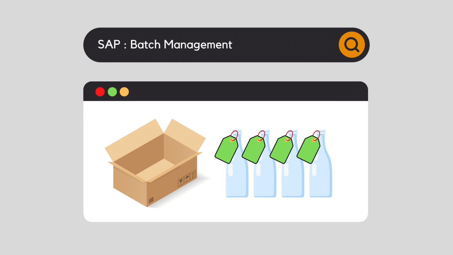 Beginners Guide To Batch Management In Sap Sap Training And Coaching 
